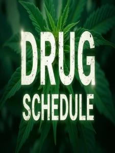 DRUG Schedule | NoobFeed